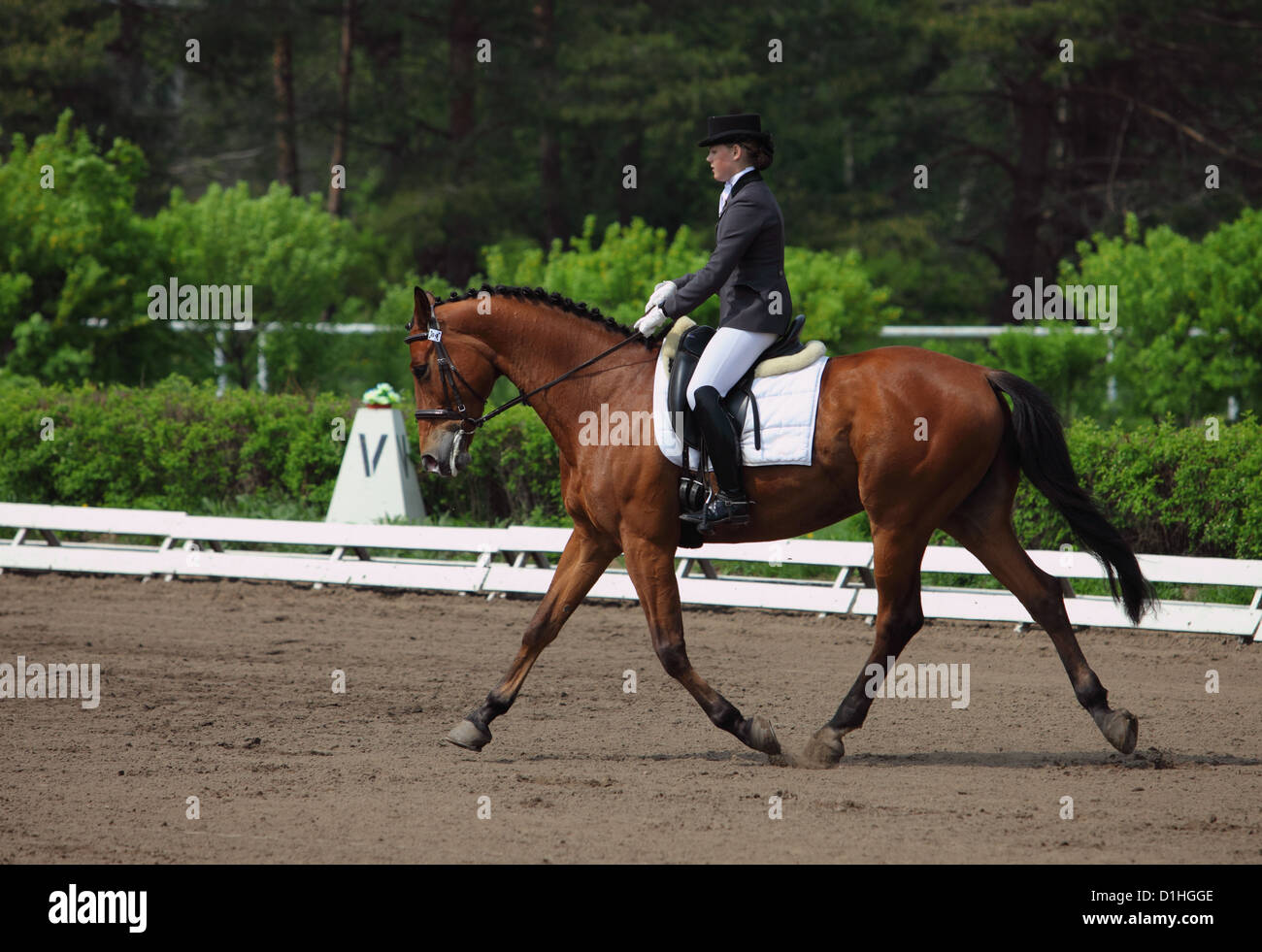 Concours de dressage equestre Banque de photographies et d’images à ...