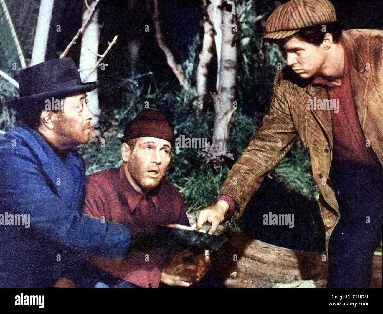 Paul newman hemingways adventures young Banque de photographies et d ...