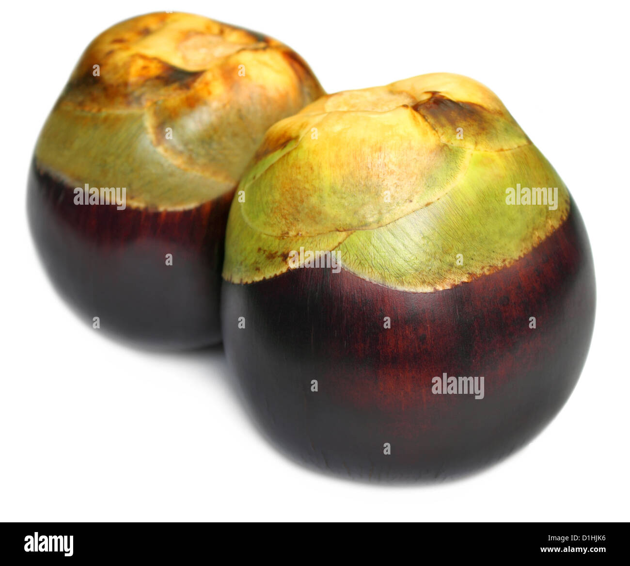 Borassus flabellifer ou Tal fruit de sous-continent indien Photo Stock ...