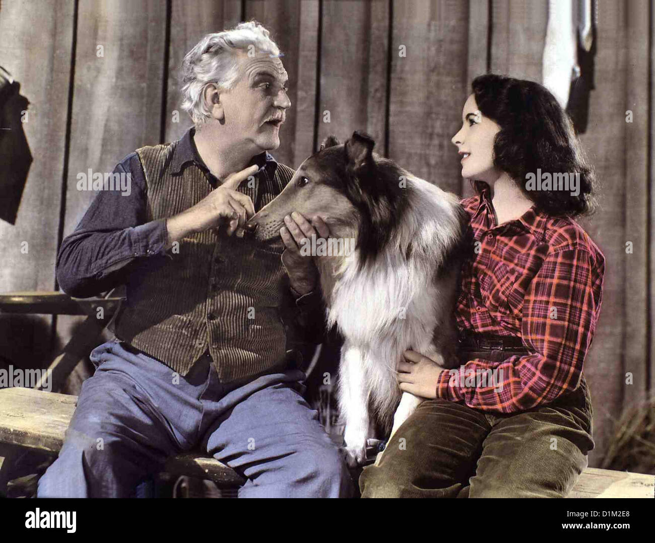 Auf Vier Pfoten a Courage Lassie Frank Morgan, Lassie, Elizabeth Taylor ...