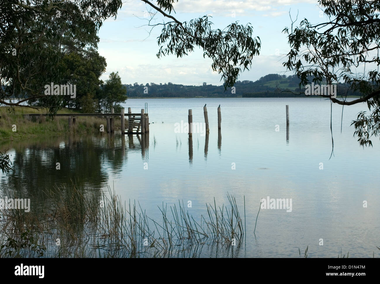Barrage de wingecarribee Banque de photographies et d’images à haute ...