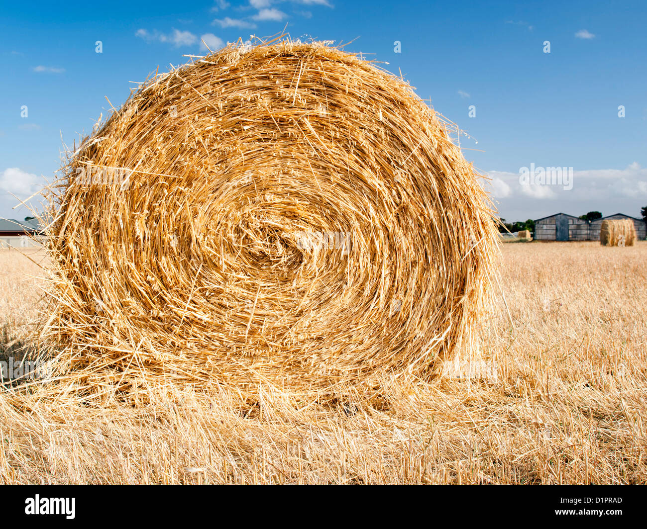 Champs De Foin Banque d'image et photos - Alamy