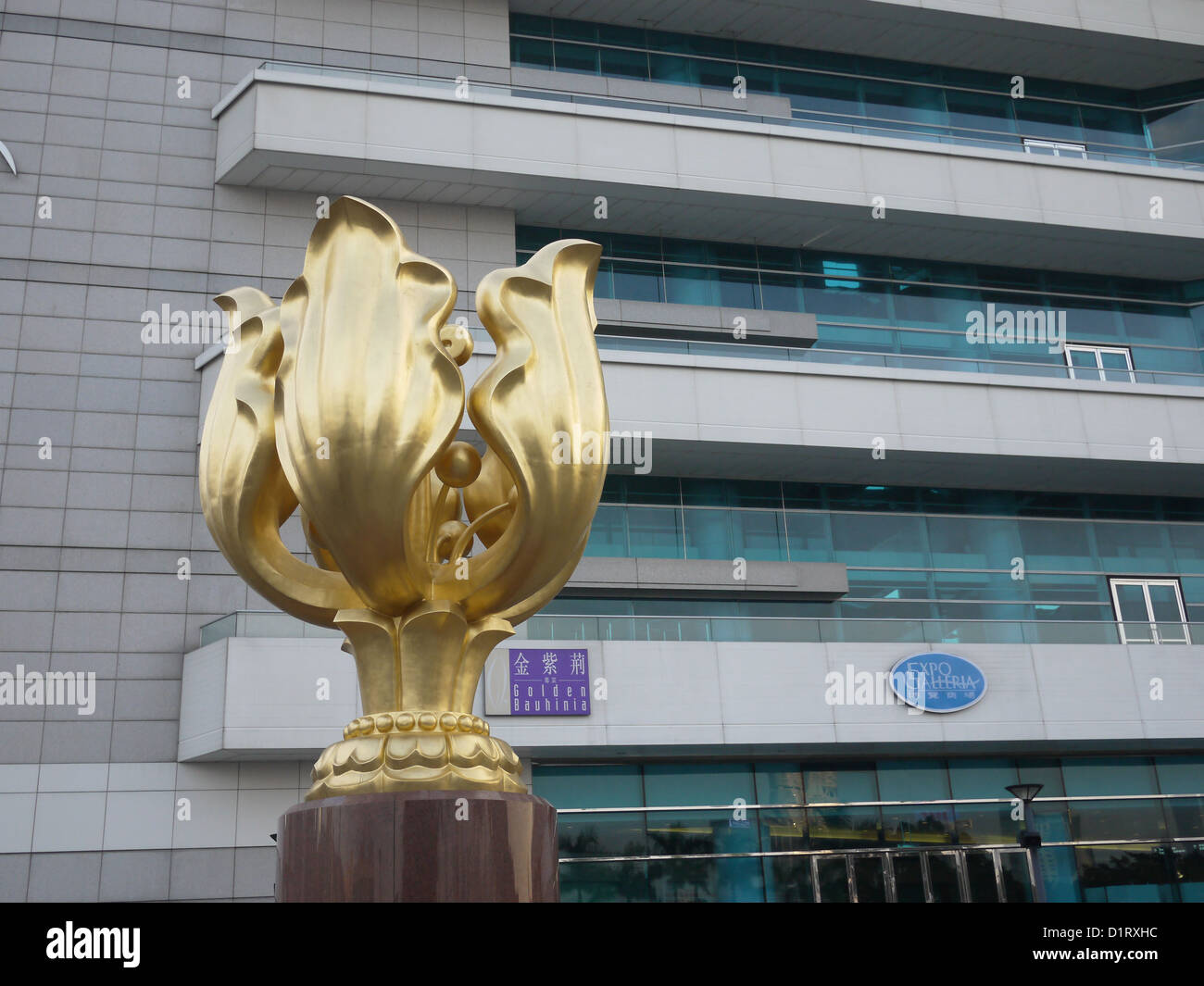 Golden bauhinia square Banque de photographies et d’images à haute ...