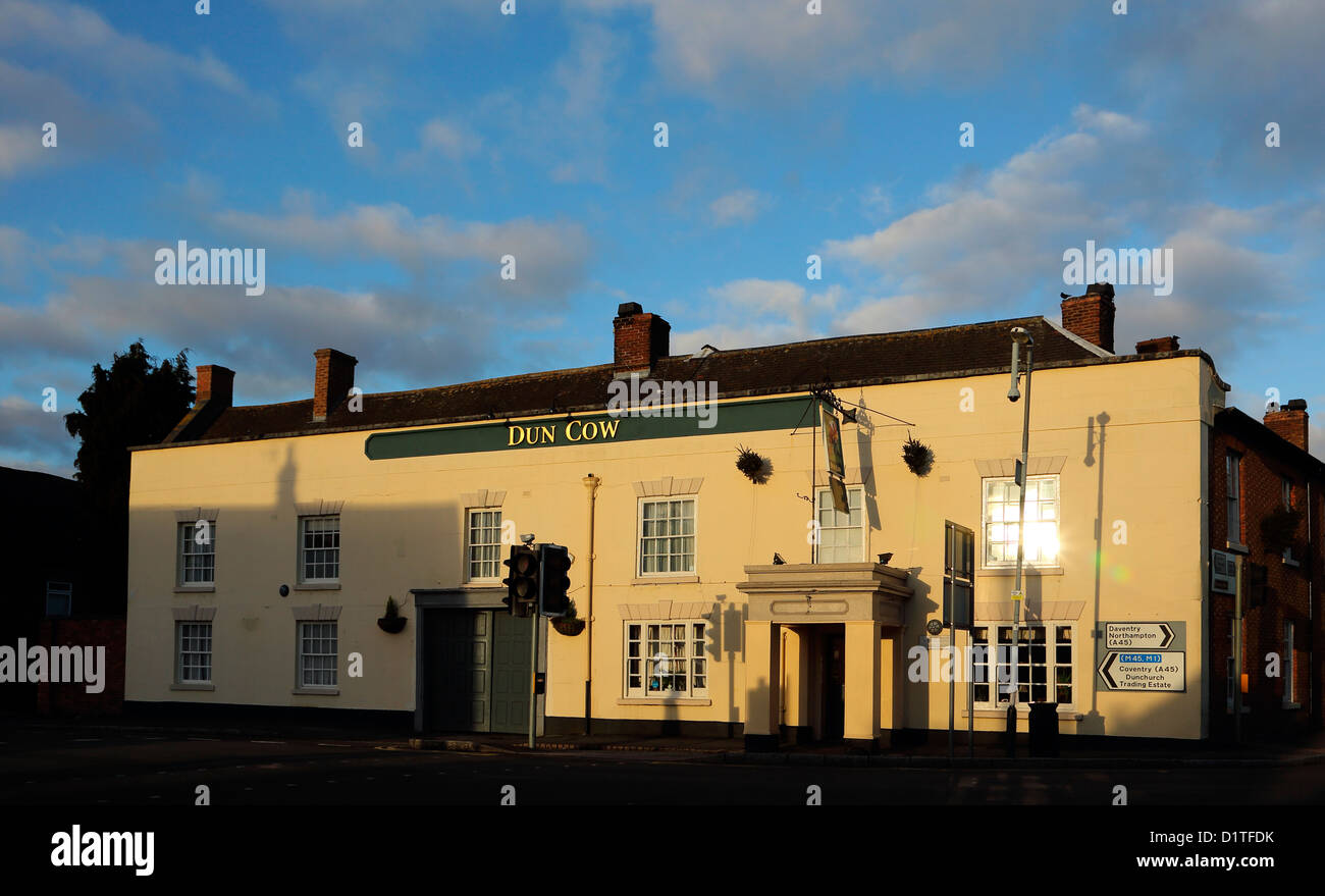 Dun cow Banque de photographies et d’images à haute résolution - Alamy