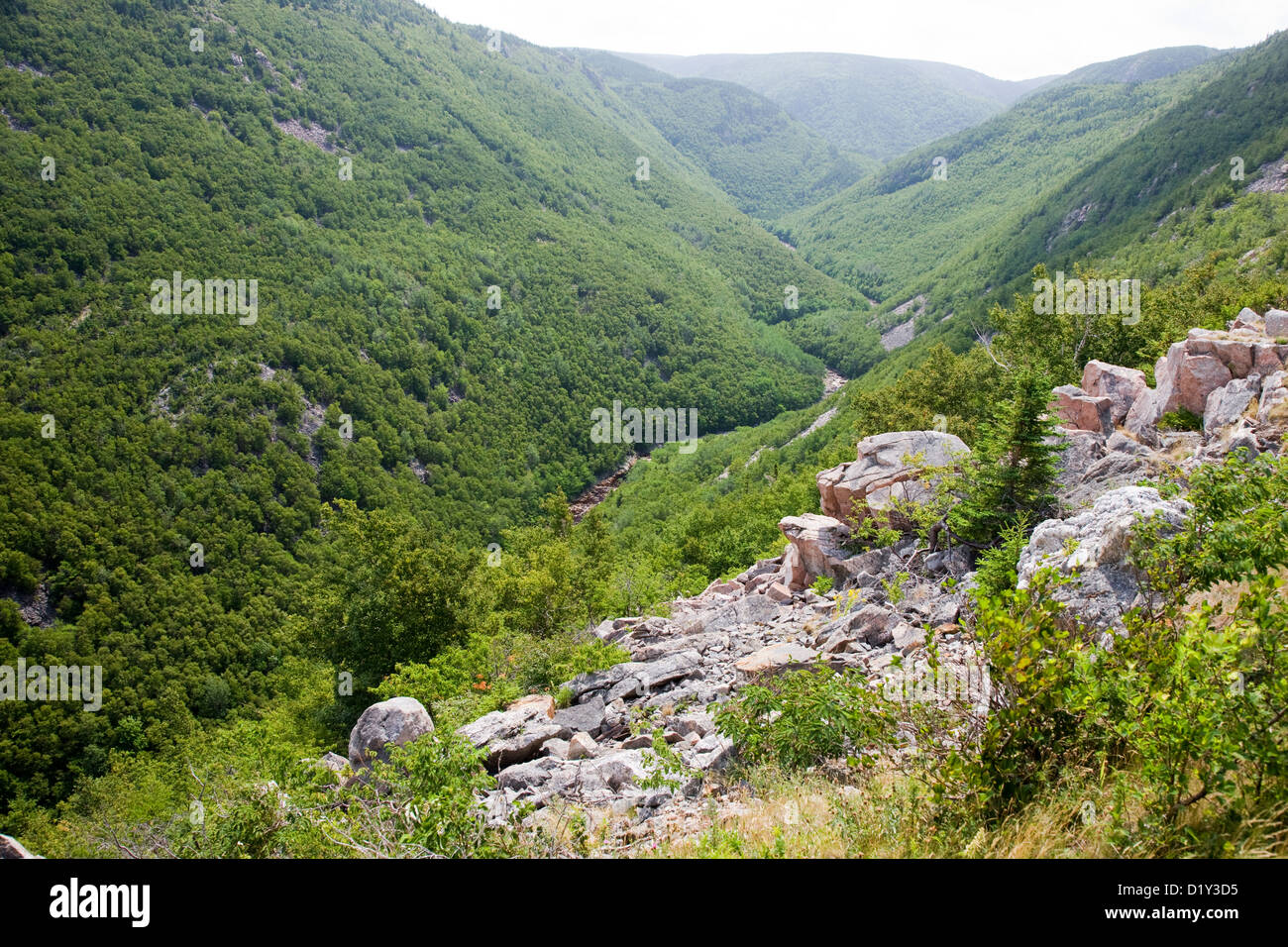 Mackenzie river trail Banque de photographies et d’images à haute ...