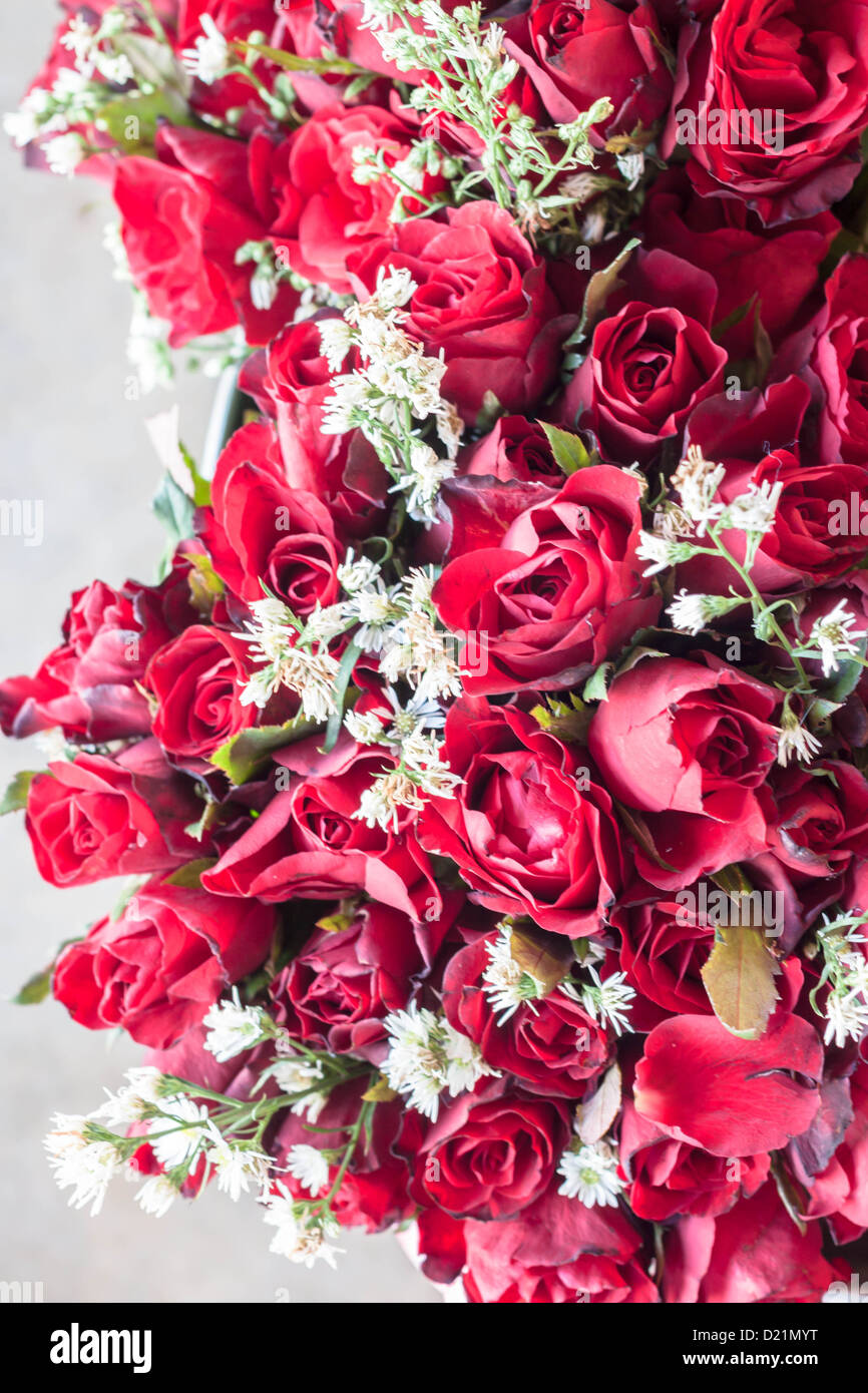 Roses rouges romantiques Banque de photographies et d’images à haute ...