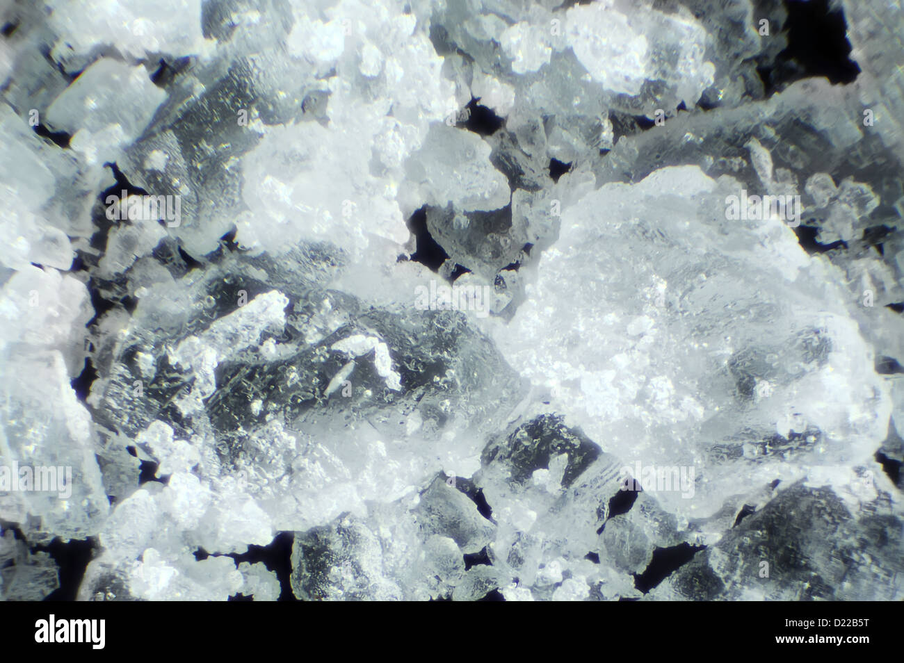 Crystal salt crystals microscope Banque de photographies et d’images à ...