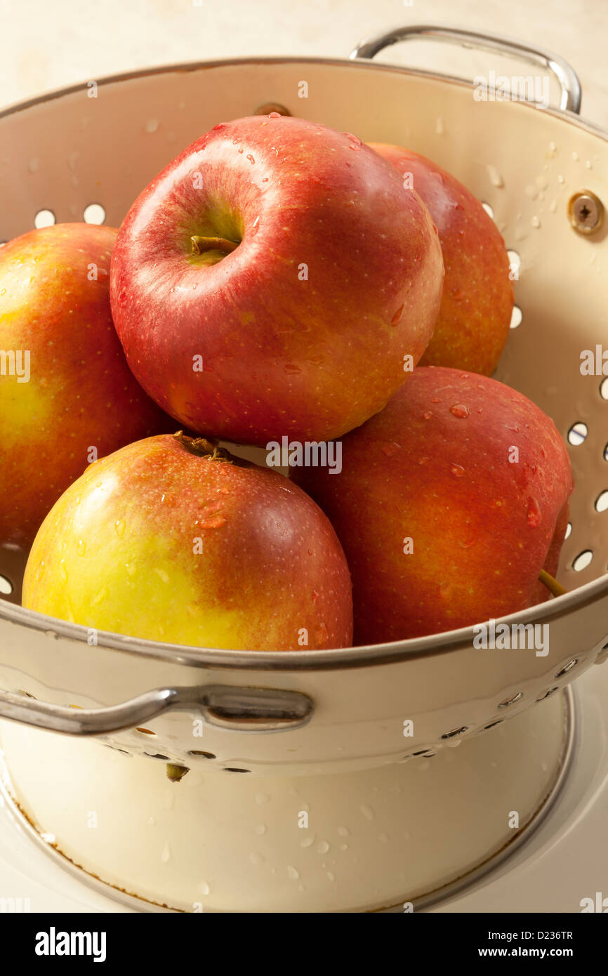 Ne pas cueillir les pommes Banque de photographies et d’images à haute ...