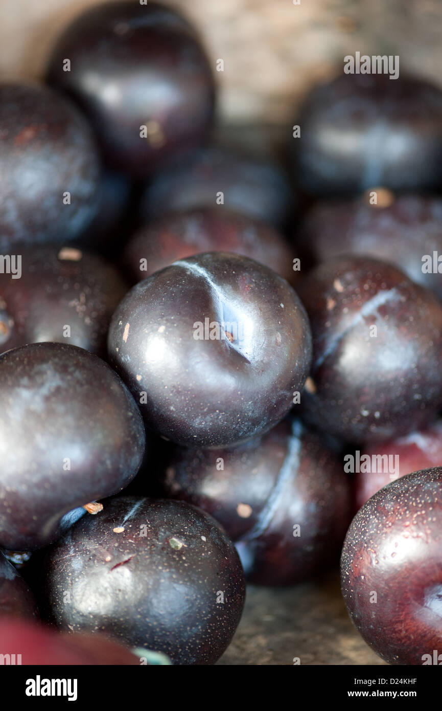 Prunes prunes Banque de photographies et d’images à haute résolution ...