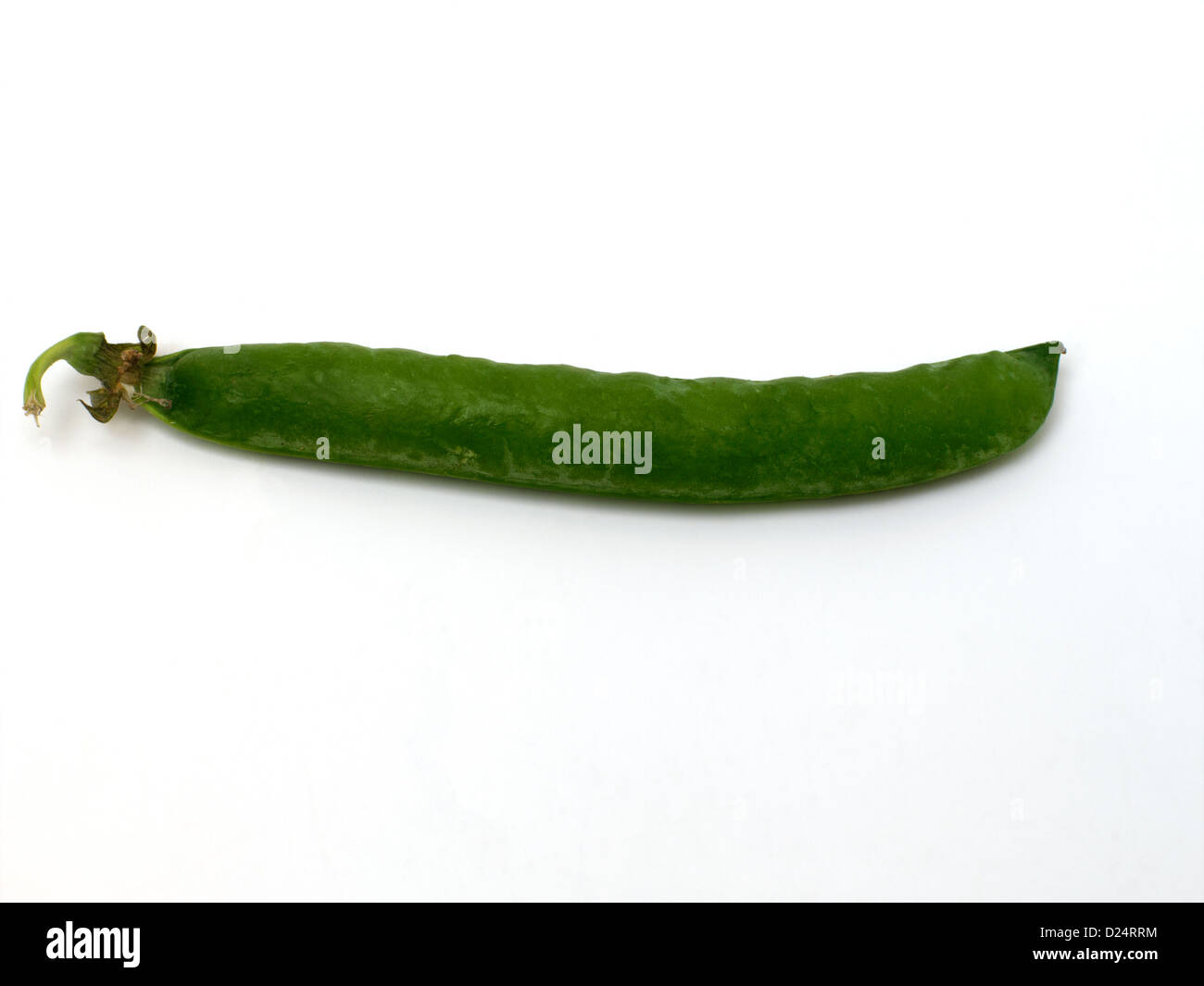 Gousse de pois Banque de photographies et d’images à haute résolution ...