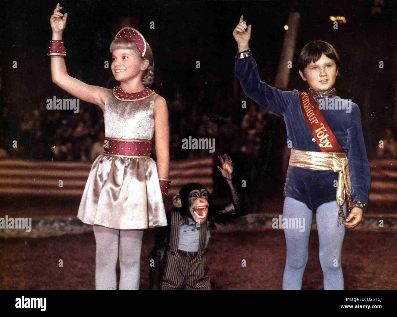 Barbara beaird Banque de photographies et d’images à haute résolution ...