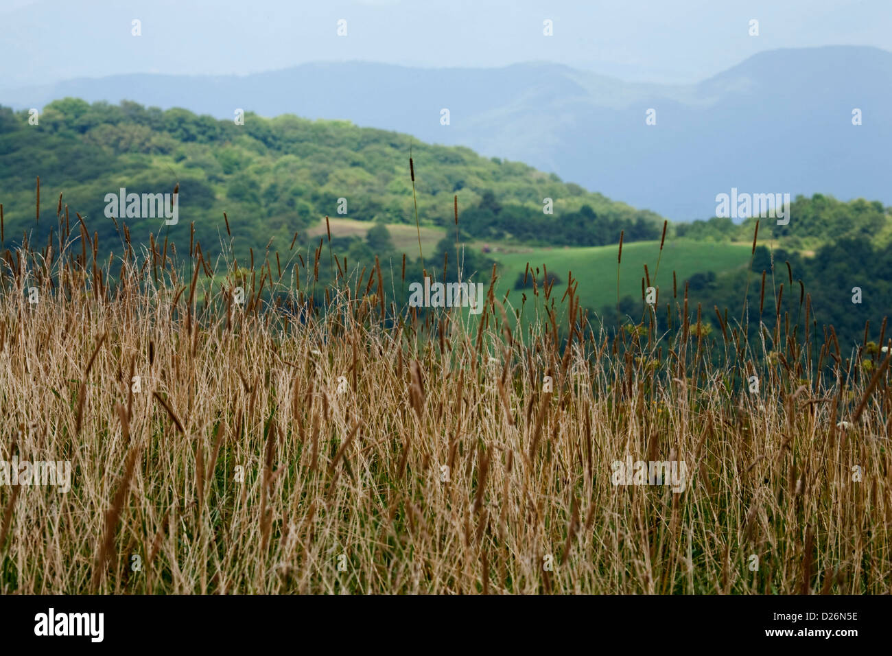 Hautes terres des appalaches du sud Banque de photographies et d’images ...
