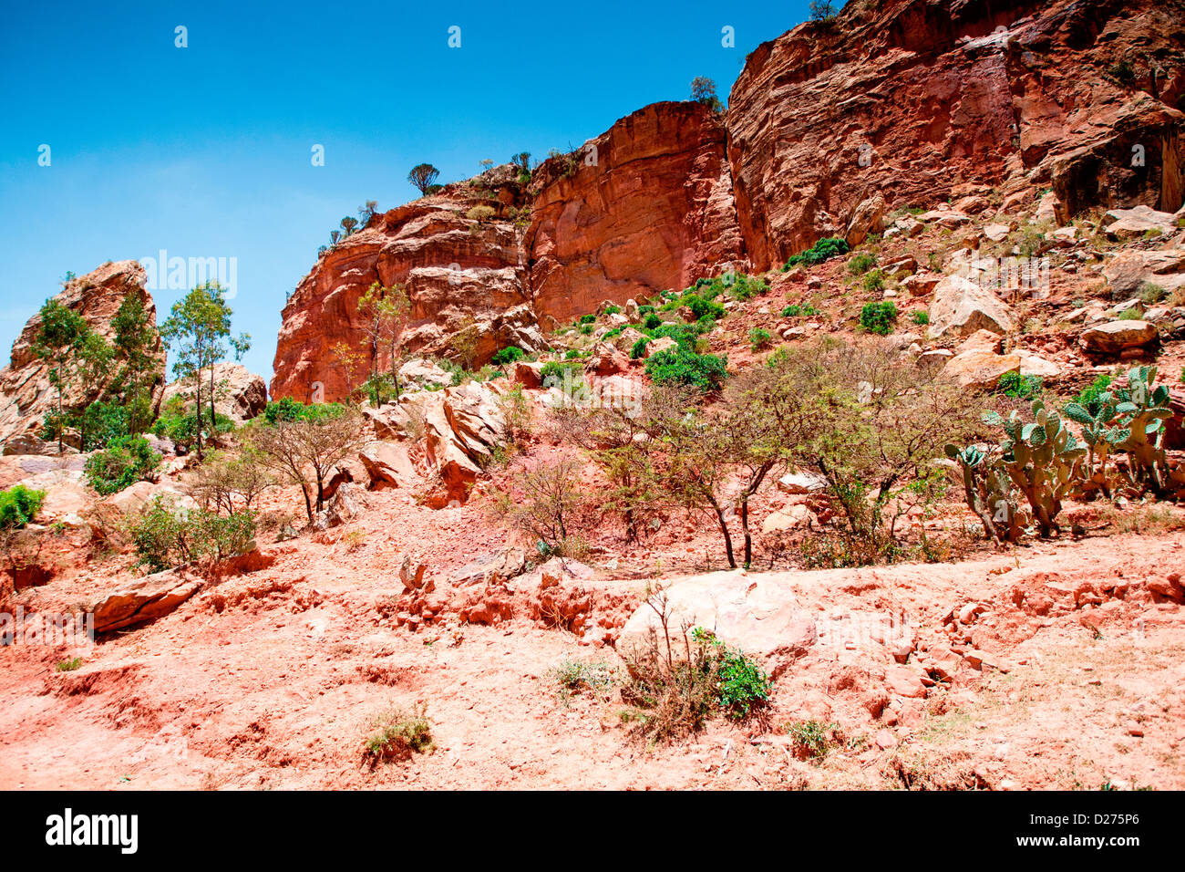 La longue montée jusqu'à l'église rupestres de Debre Tsion Abraham dans ...