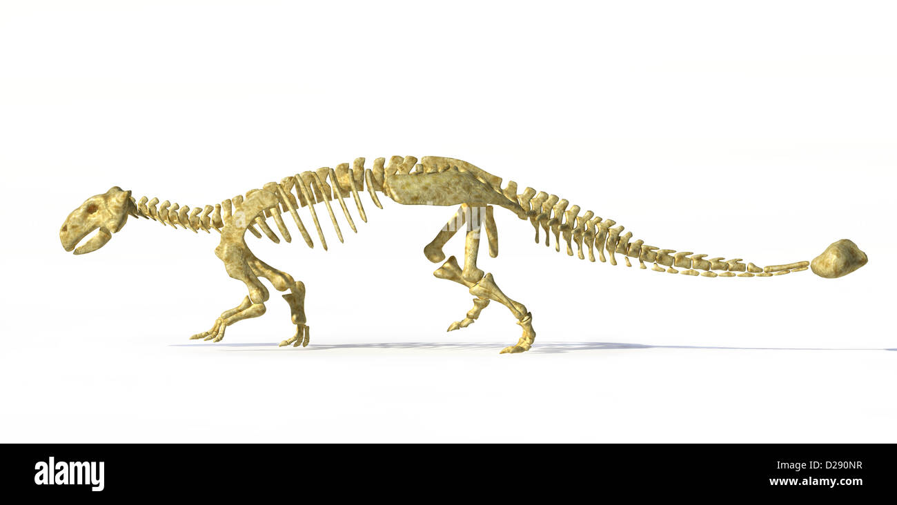 Dinosaur ankylosaurus Banque de photographies et d’images à haute ...