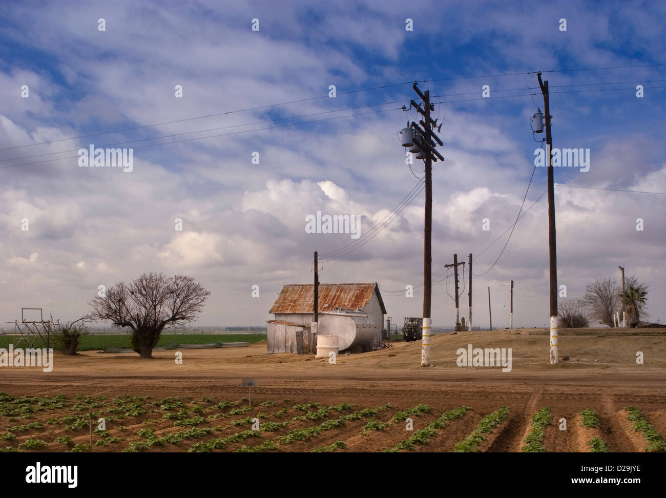 Bakersfield crop Banque de photographies et d’images à haute résolution ...