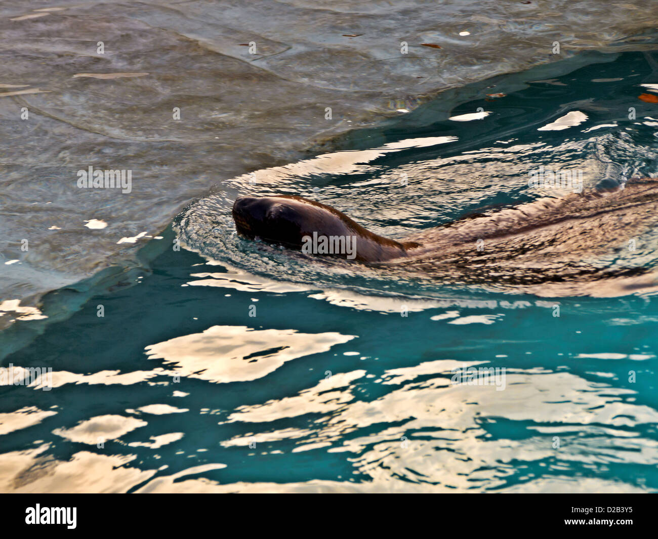 Schonbrunn zoo Banque de photographies et d’images à haute résolution ...