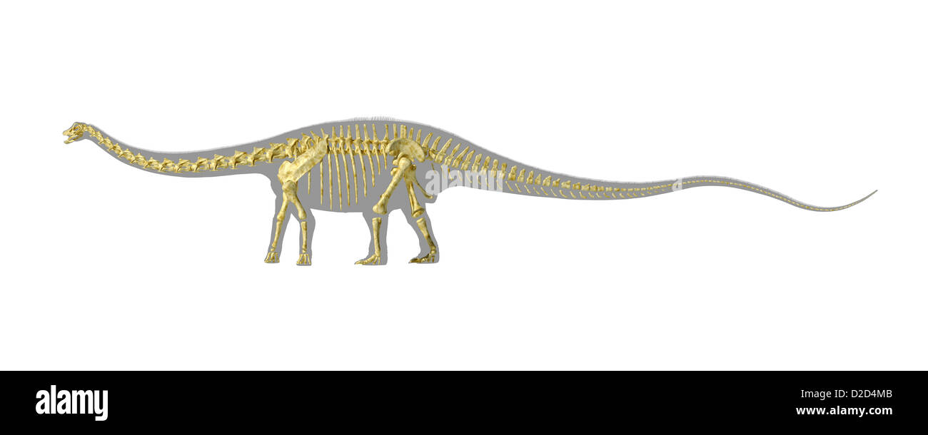 Anatomie Des Dinosaures Banque d'image et photos - Alamy