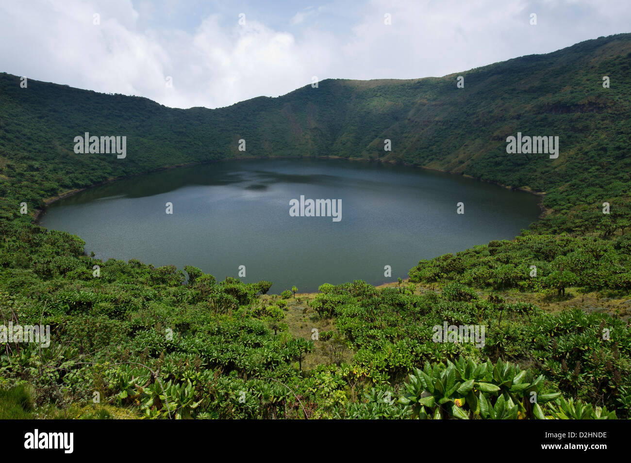 Lac de cratère Bisoke sur le mont Bisoke, le parc national des volcans ...