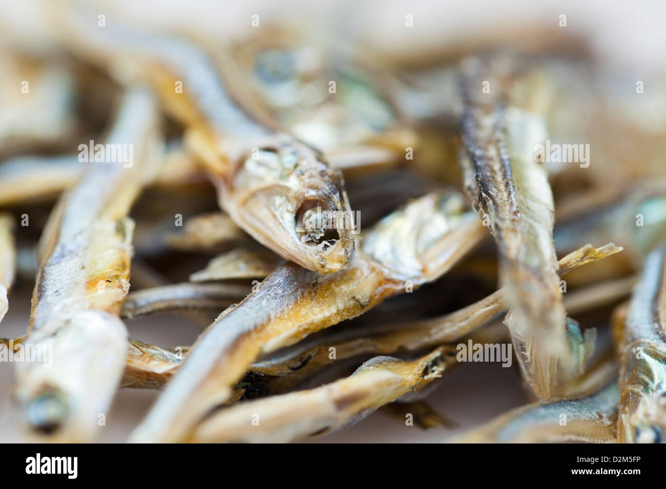 Poissons secs Banque de photographies et d’images à haute résolution ...