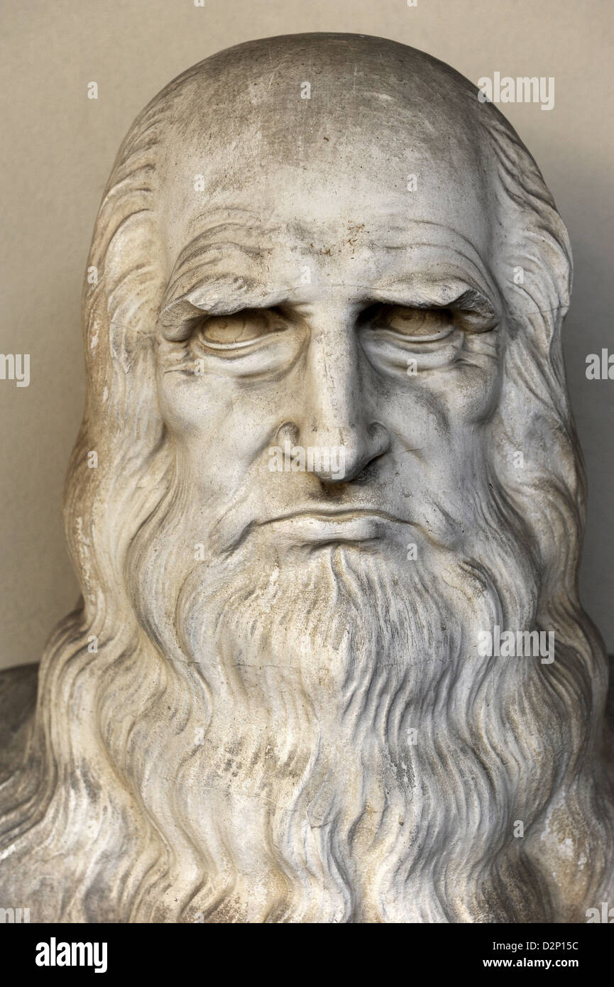 Tête d'homme leonardo da vinci Banque de photographies et d’images à ...