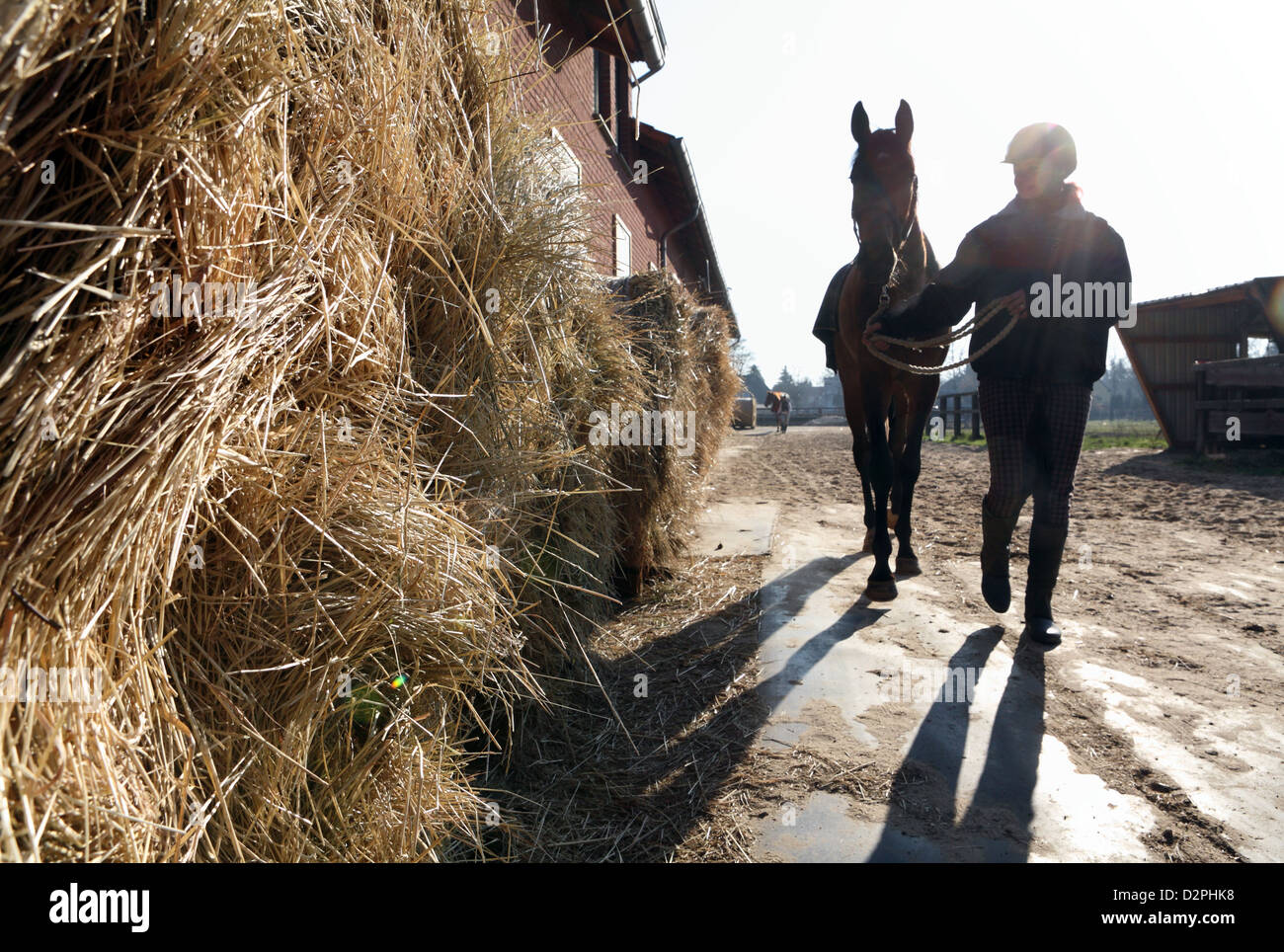 Cheval De Paille Banque d'image et photos - Alamy