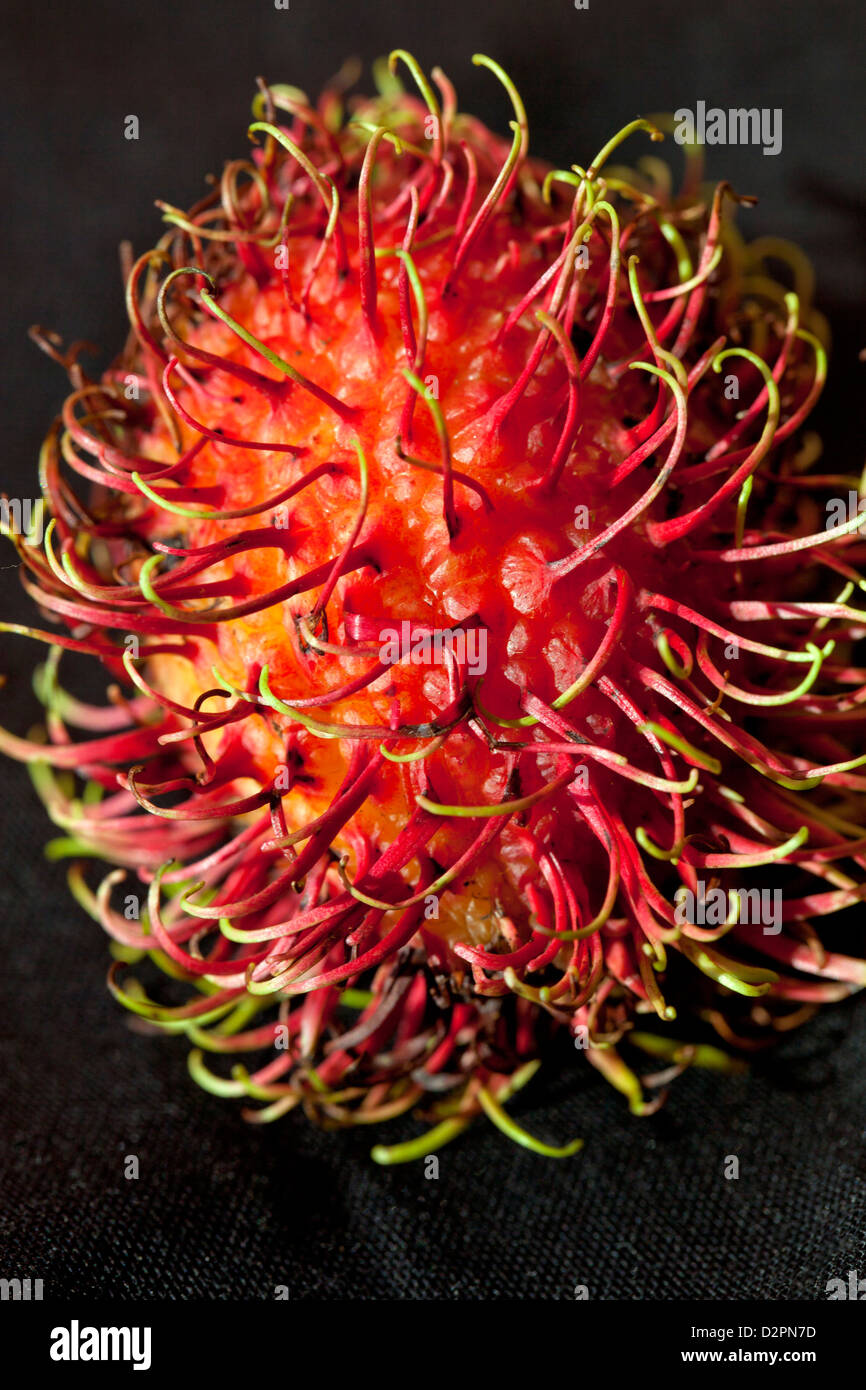 Gros plan de ramboutan Banque de photographies et d’images à haute ...