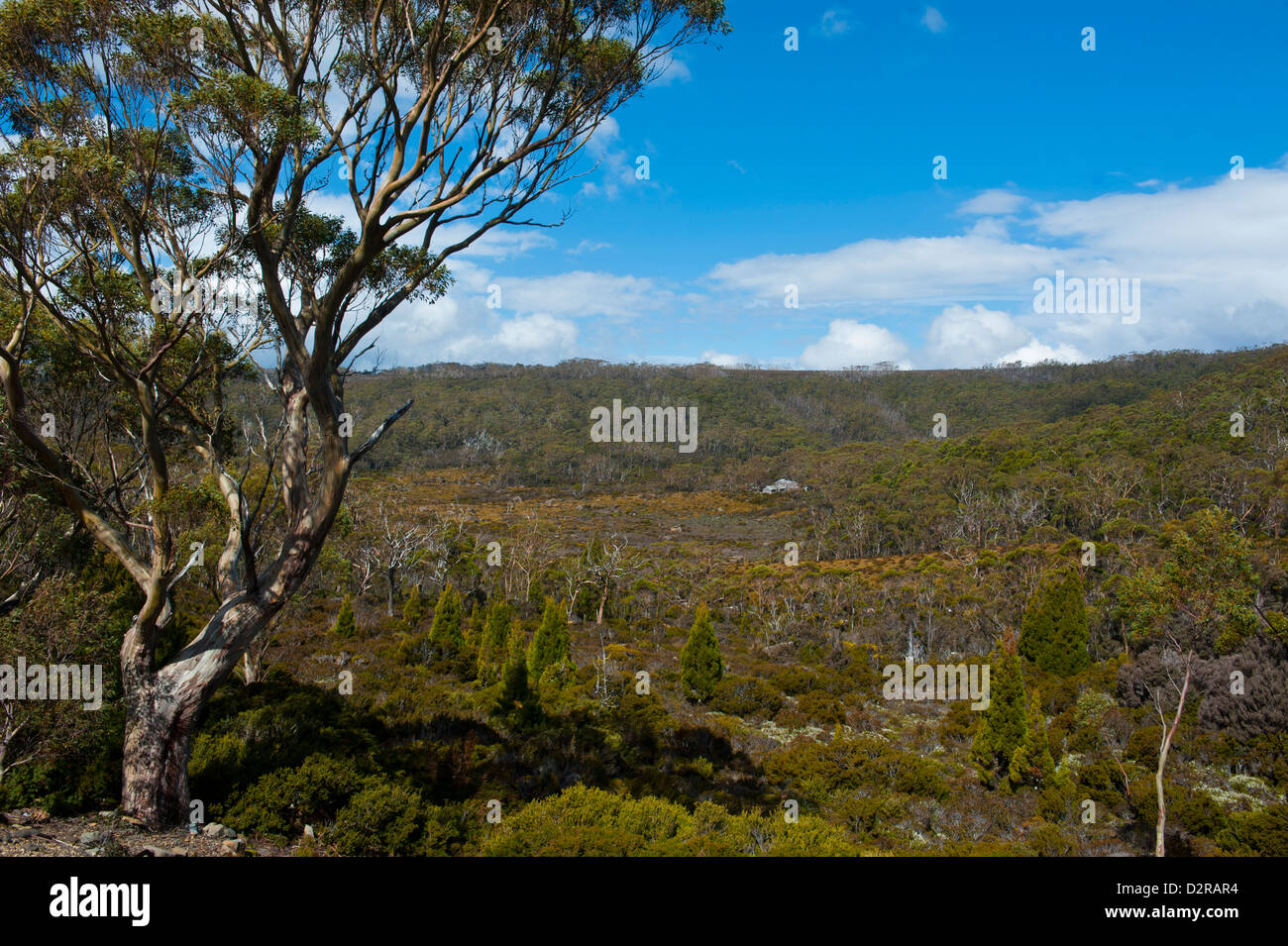 Mount field national park Banque de photographies et d’images à haute ...
