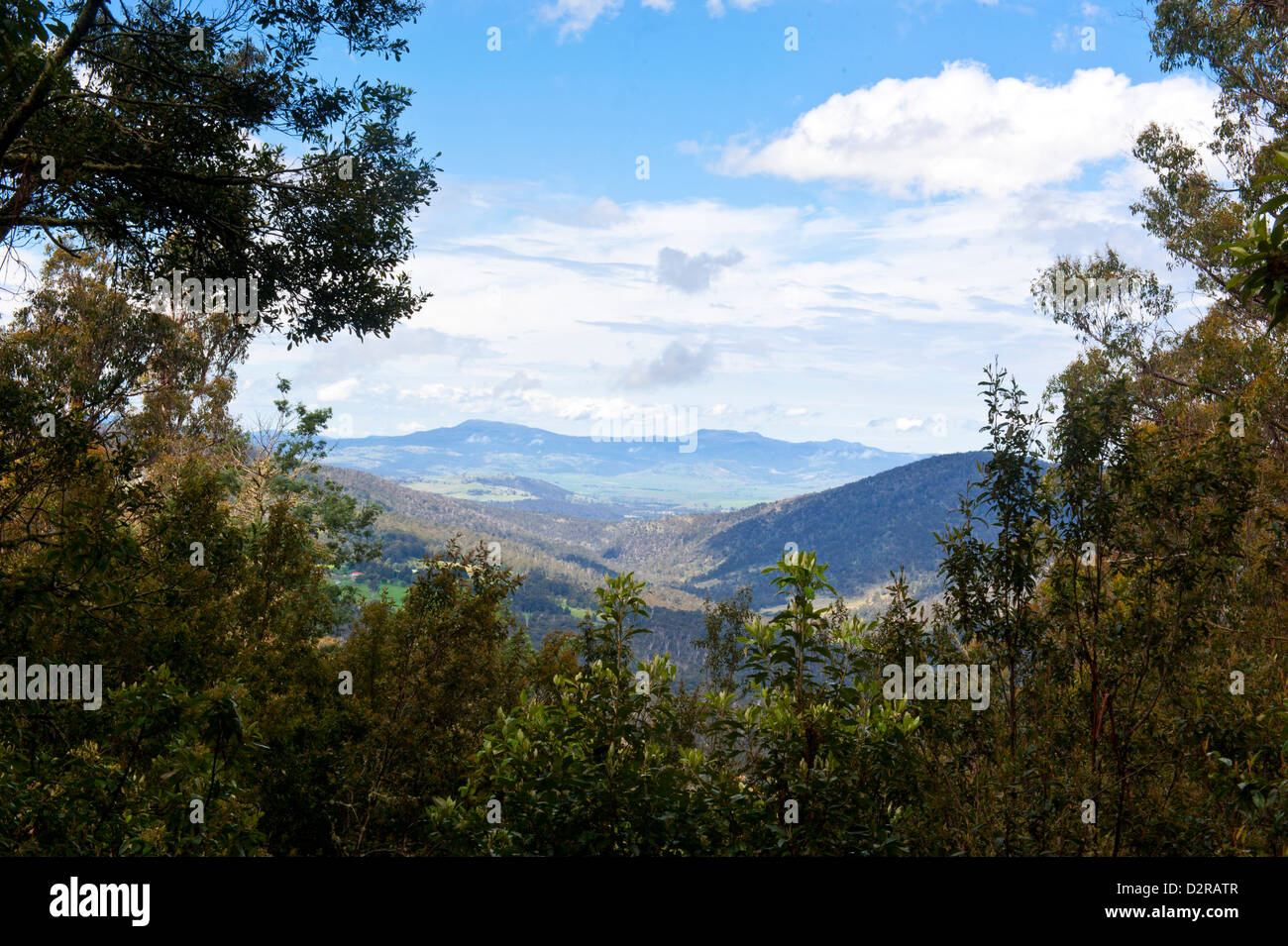 Mount field national park Banque de photographies et d’images à haute ...