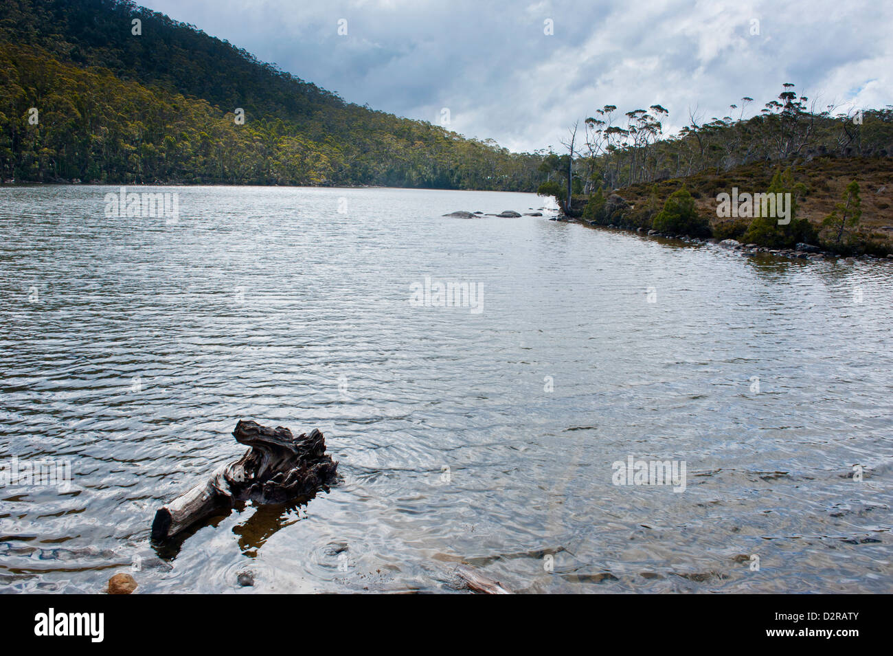 Mount field national park Banque de photographies et d’images à haute ...