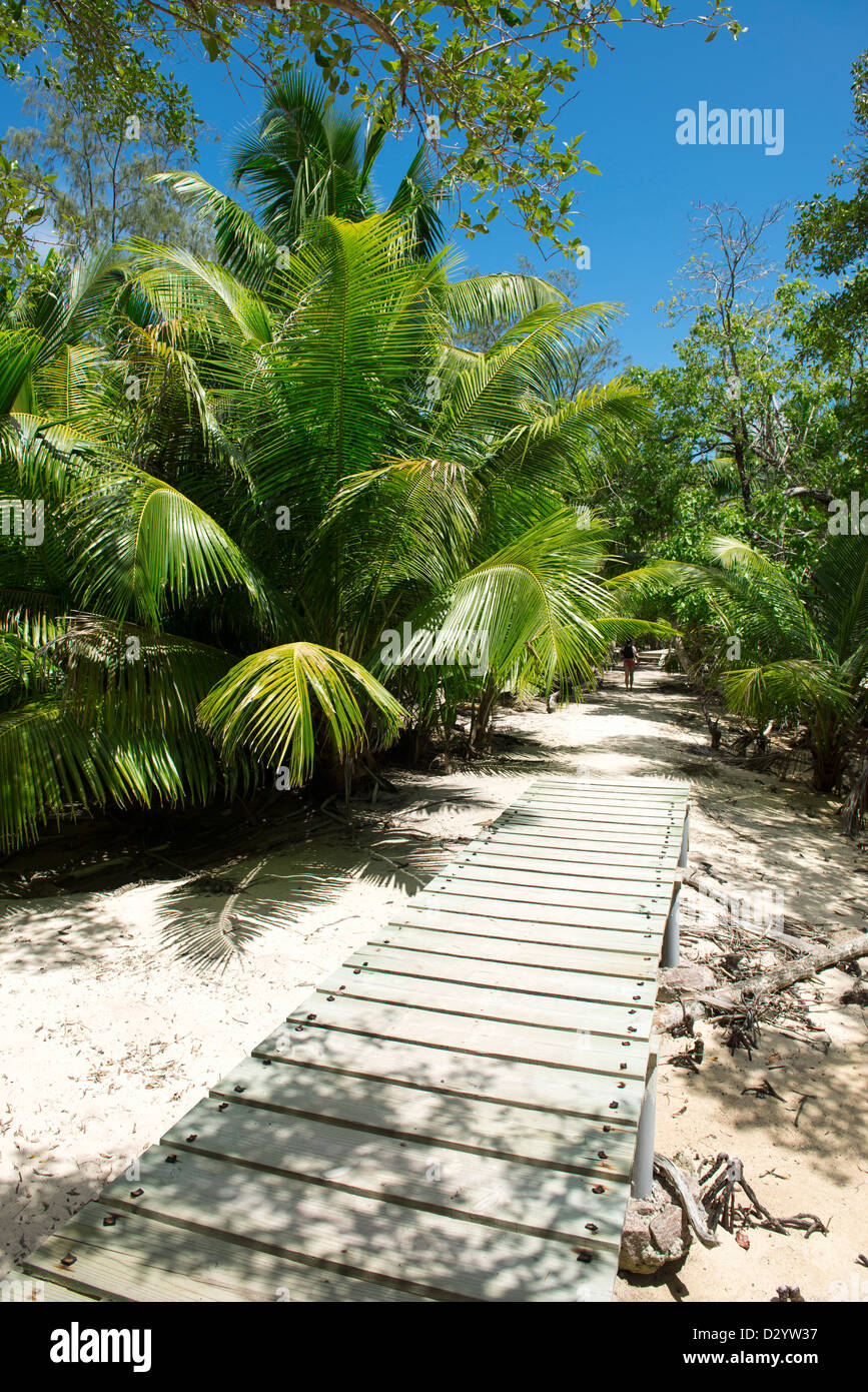 Parc tropical Banque de photographies et d’images à haute résolution ...