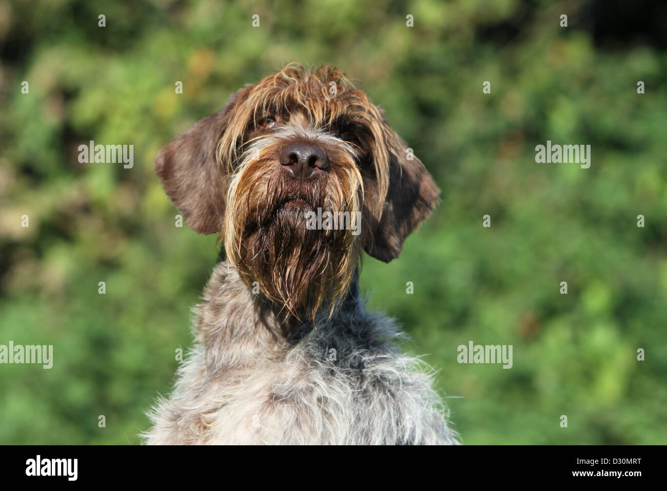 Les kortals Banque de photographies et d’images à haute résolution - Alamy