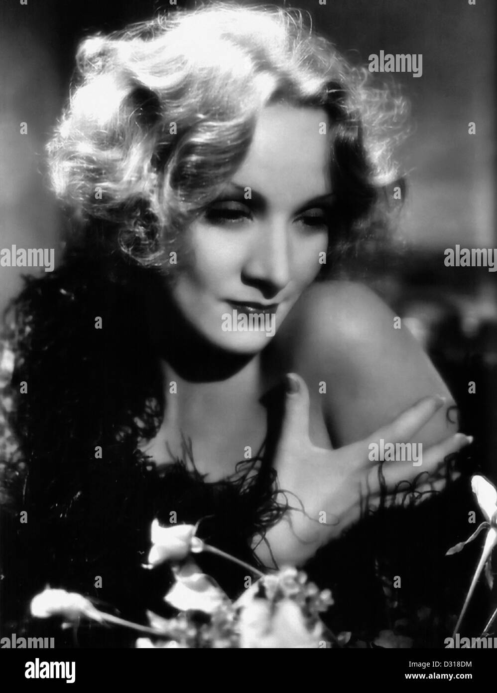 Marlène dietrich Banque de photographies et d’images à haute résolution ...