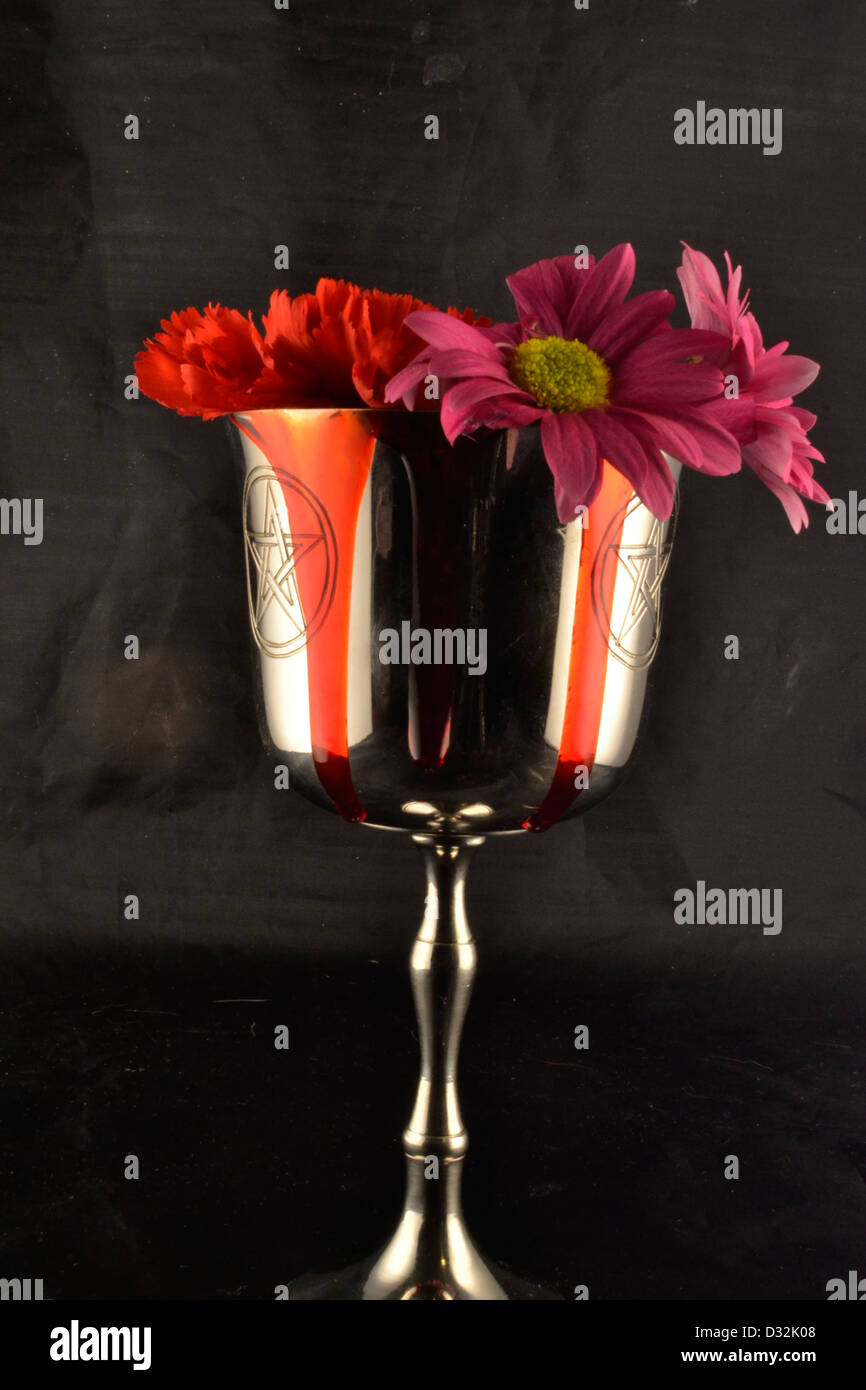 Fleur de calice Banque de photographies et d’images à haute résolution ...