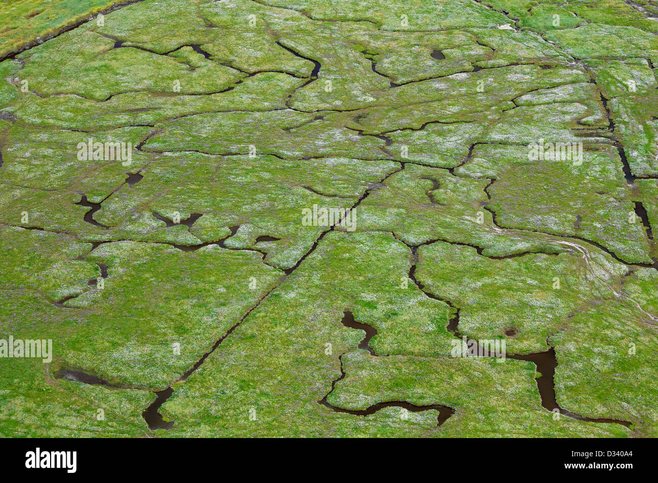 Vue aérienne sur les marais de la mer des Wadden Parc National, Frise ...