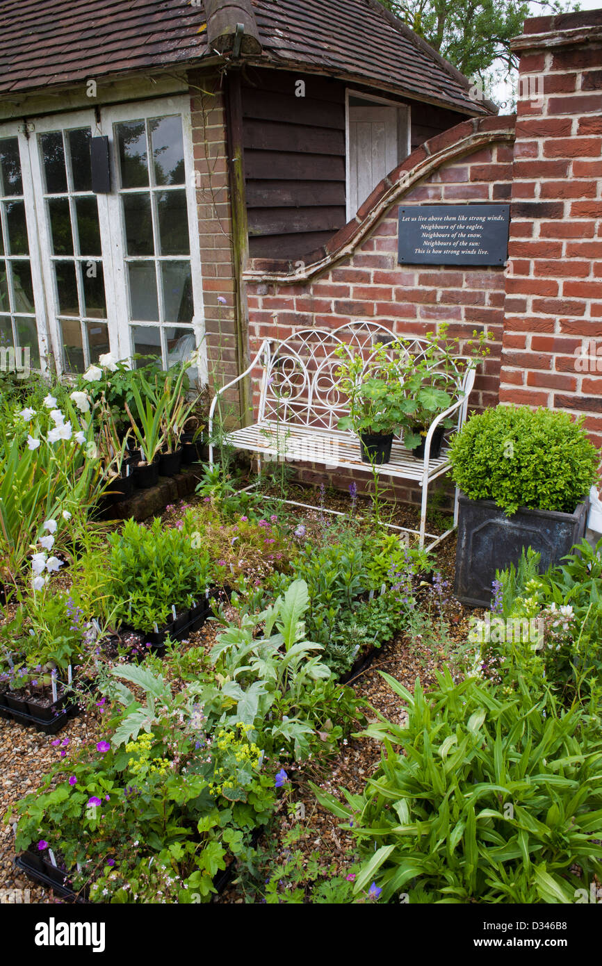 Jardin de fleurs traditionnel angleterre Banque de photographies et d ...