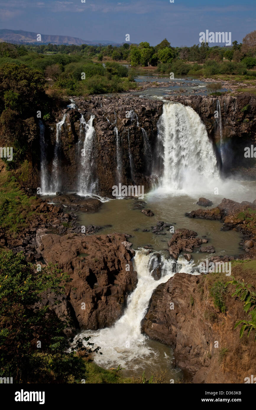 La source du nil bleu Banque de photographies et d’images à haute ...