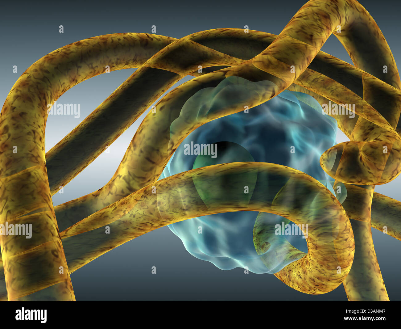 Mycelium fongique Banque de photographies et d’images à haute ...