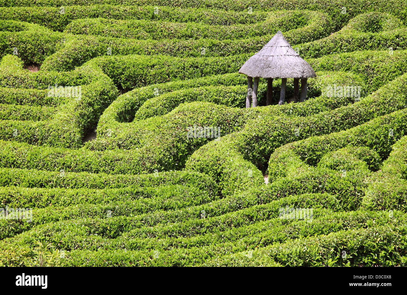 Bush labyrinth Banque de photographies et d’images à haute résolution ...