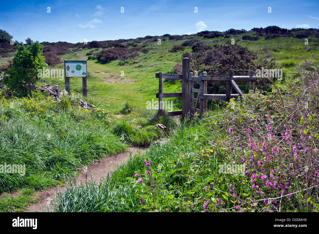 Ubley warren Banque de photographies et d’images à haute résolution - Alamy