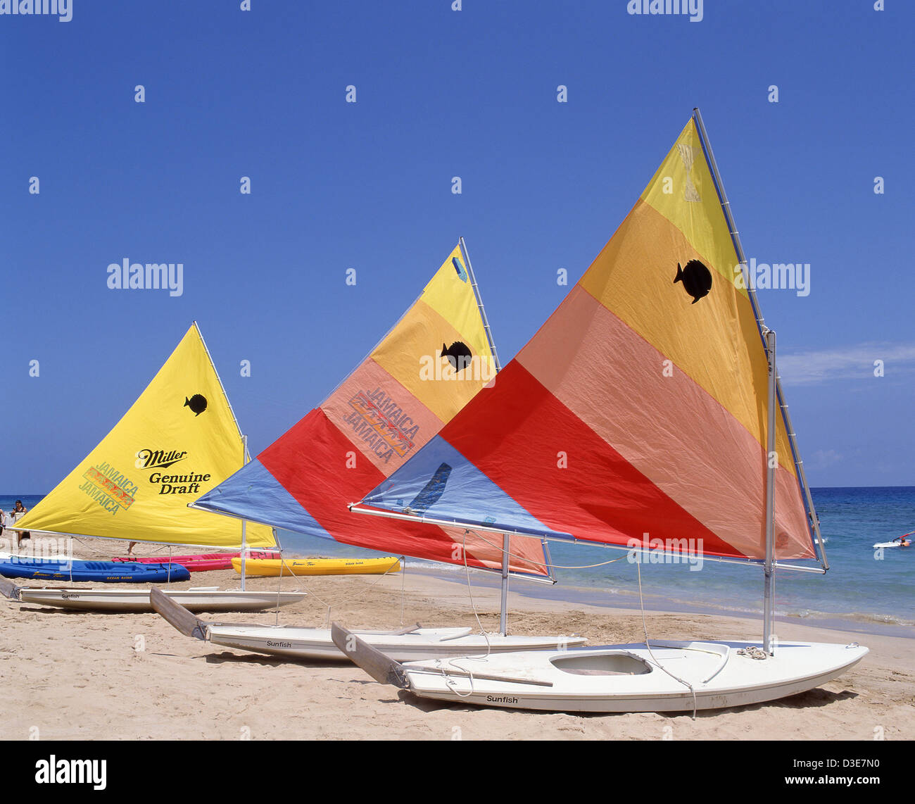 Voiliers à poissons solaires sur la plage de la tortue (baie d'Ocho ...