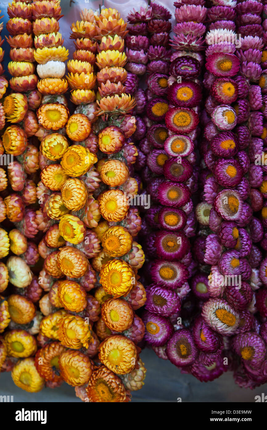 Filipino garland Banque de photographies et d’images à haute résolution ...