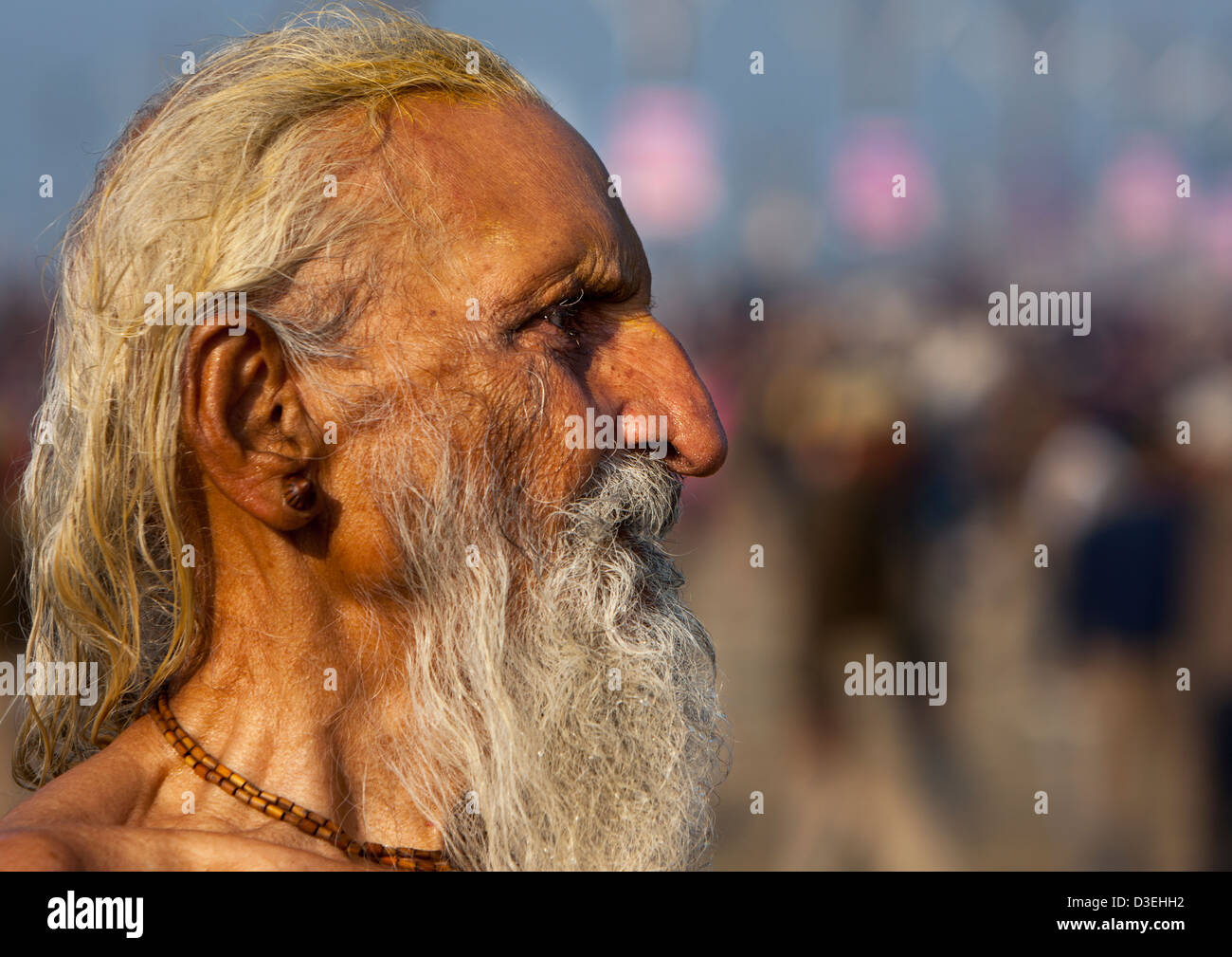 Sadhu naga baba kumbh mela Banque de photographies et d’images à haute ...