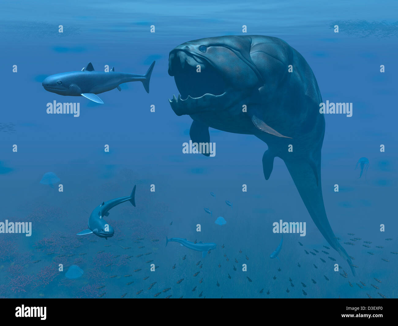 Un poisson préhistorique Dunkleosteus se prépare à manger un requin ...