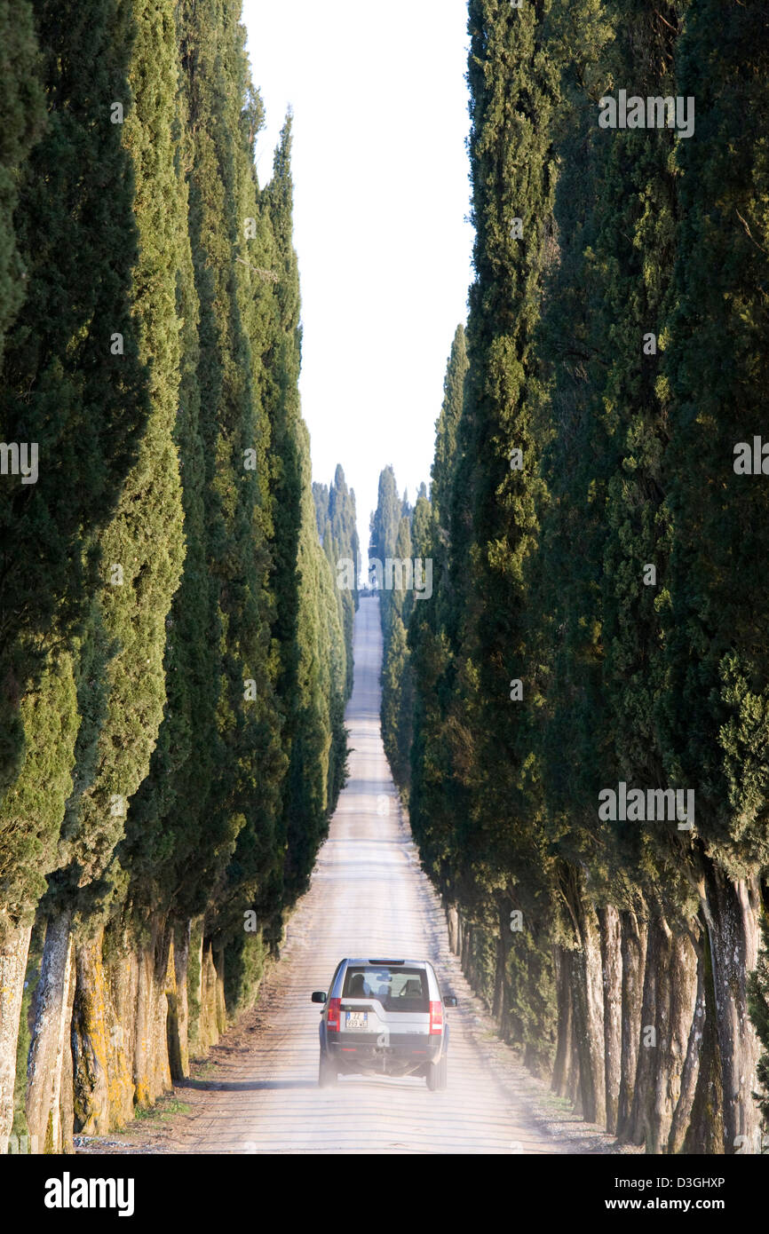 L'Europe, Italie, Toscane, Chianti, route blanche de cyprès Photo Stock ...