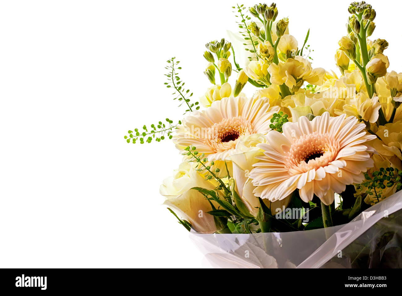 Bouquet de fleurs sur fond blanc Banque de photographies et d’images à ...