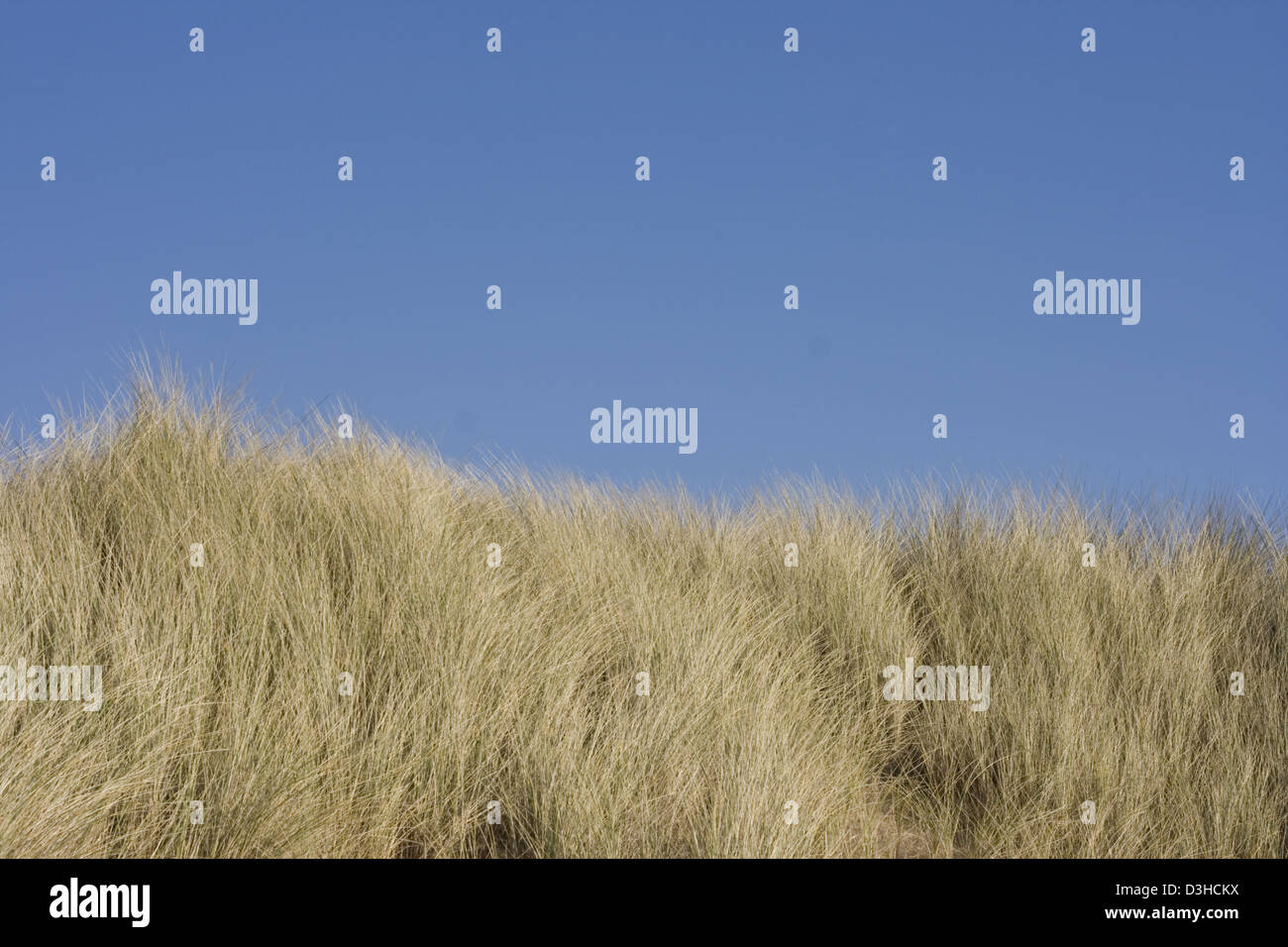 Sommet d'une dune de sable Banque de photographies et d’images à haute ...