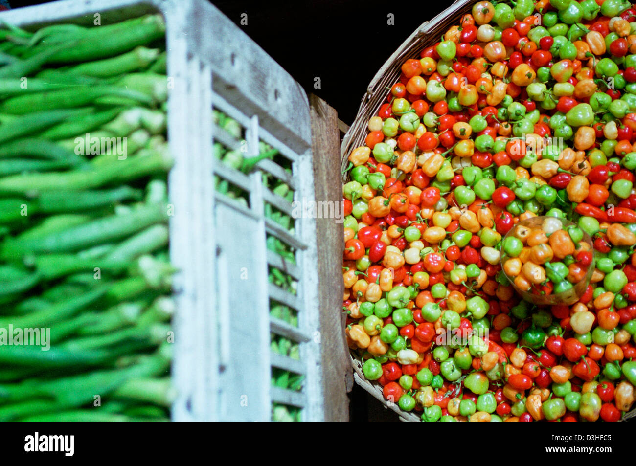 Piments forts capsicum sp Banque de photographies et d’images à haute ...