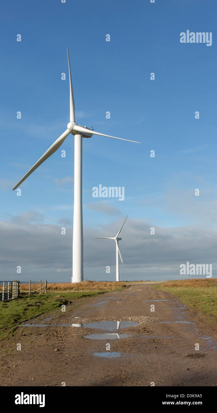 Face au vent Banque de photographies et d’images à haute résolution - Alamy