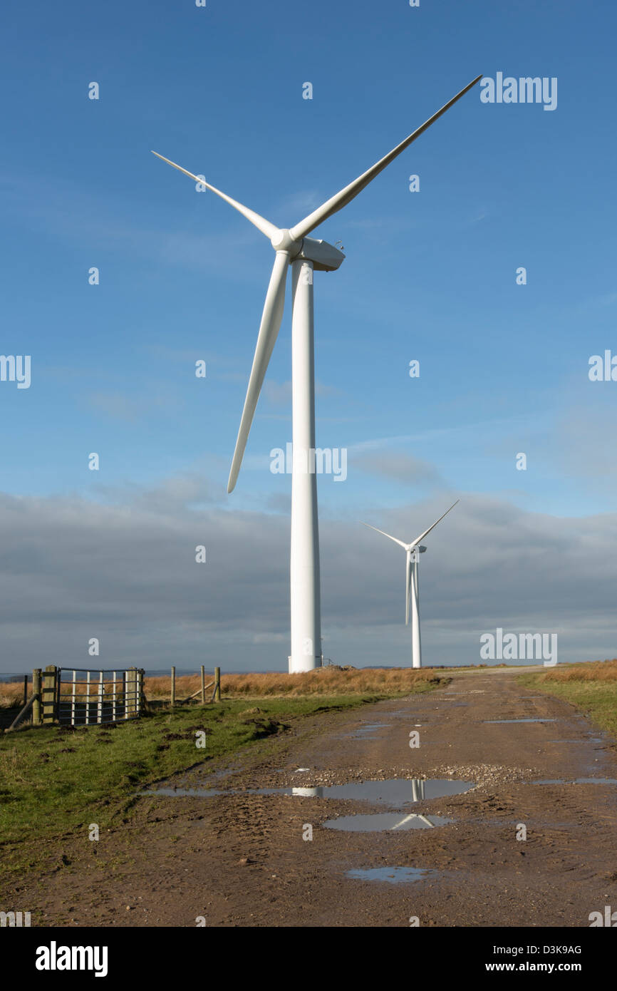 Face au vent Banque de photographies et d’images à haute résolution - Alamy