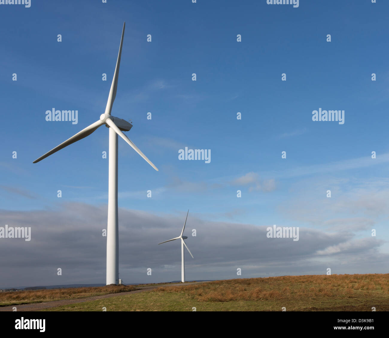 Face au vent Banque de photographies et d’images à haute résolution - Alamy